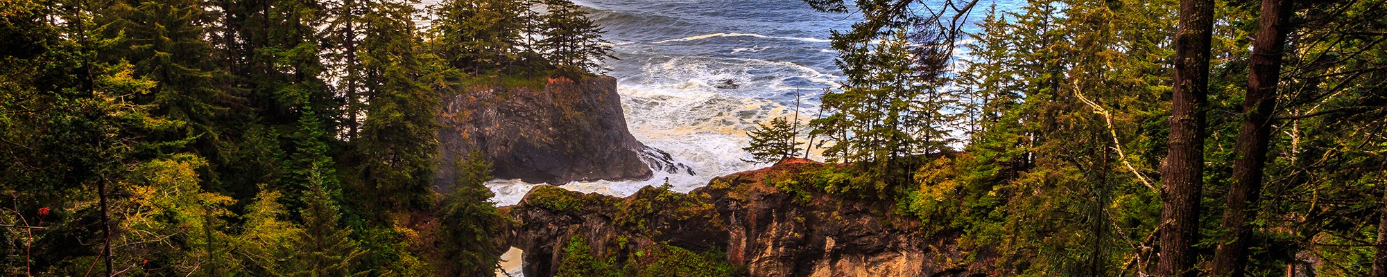 Meet Dr. Goode Brookings OR, Michael Goode DDS LLC